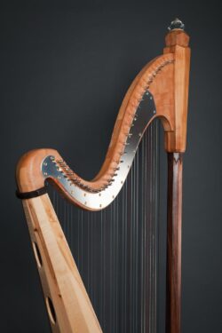 Willkommen in unserer Werkstätte - Harfenbau